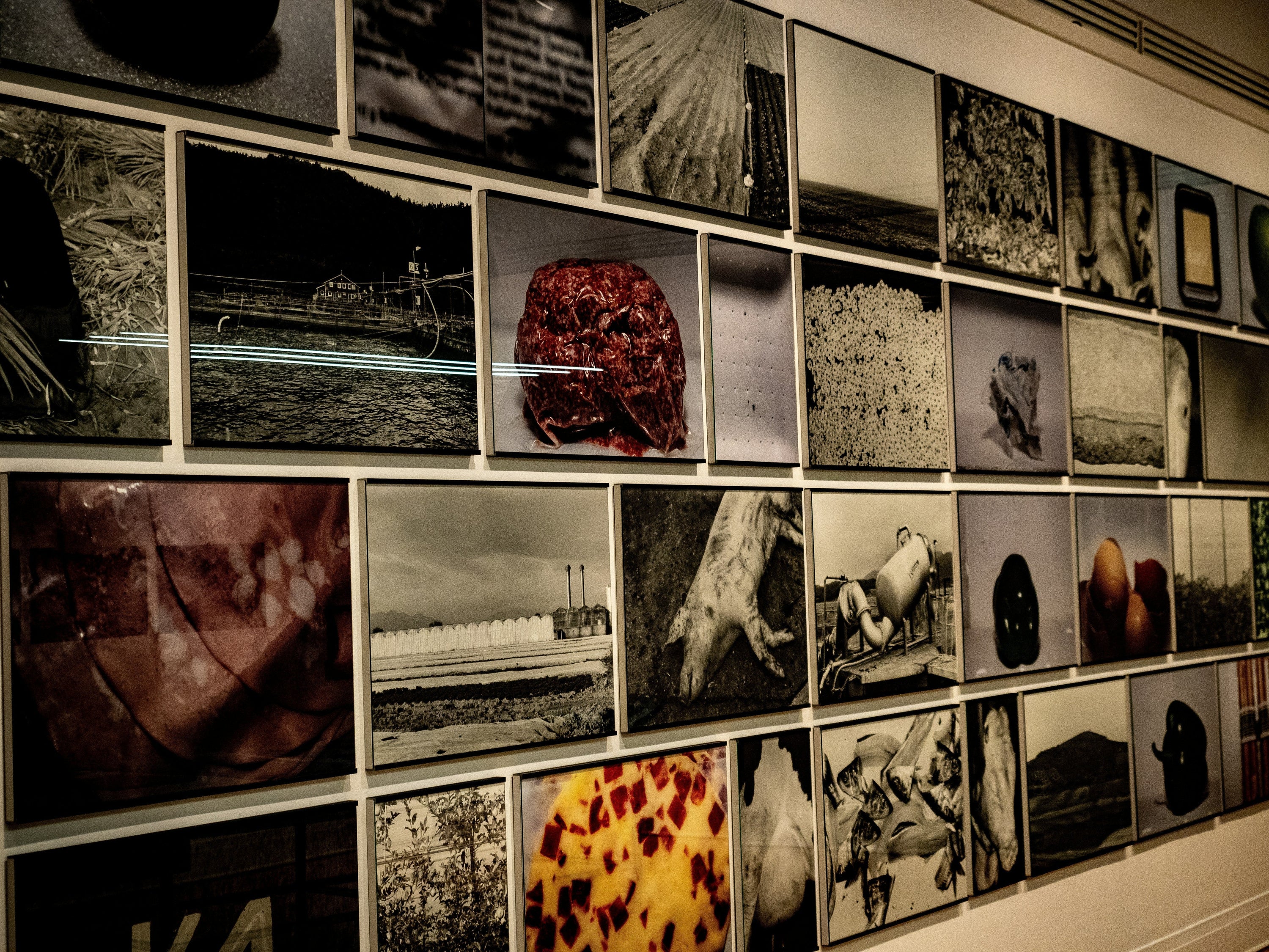 Types of Photography Styles: A Comprehensive Guide – Naturalist Gallery ...