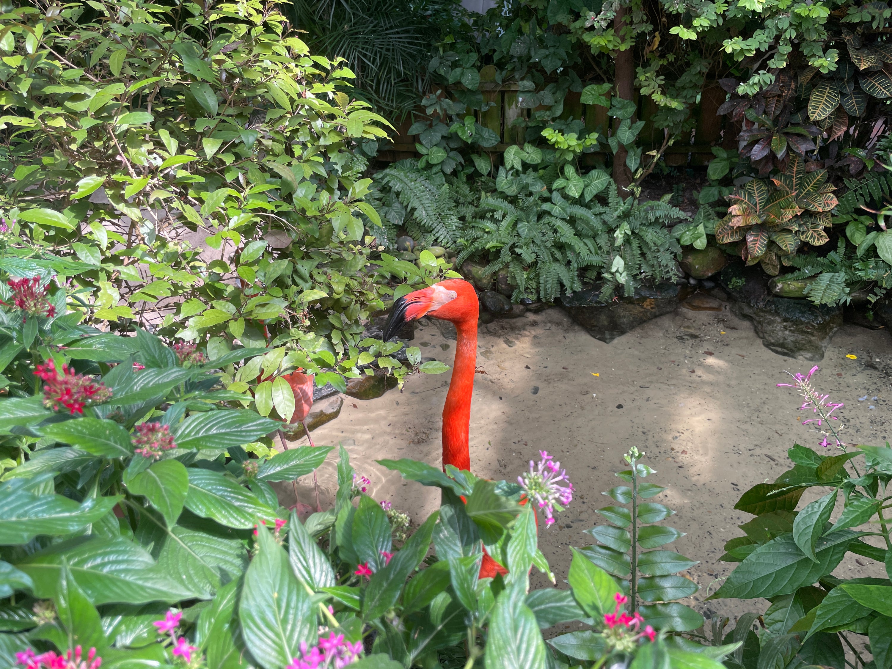 Prints – Naturalist Gallery of Contemporary Art