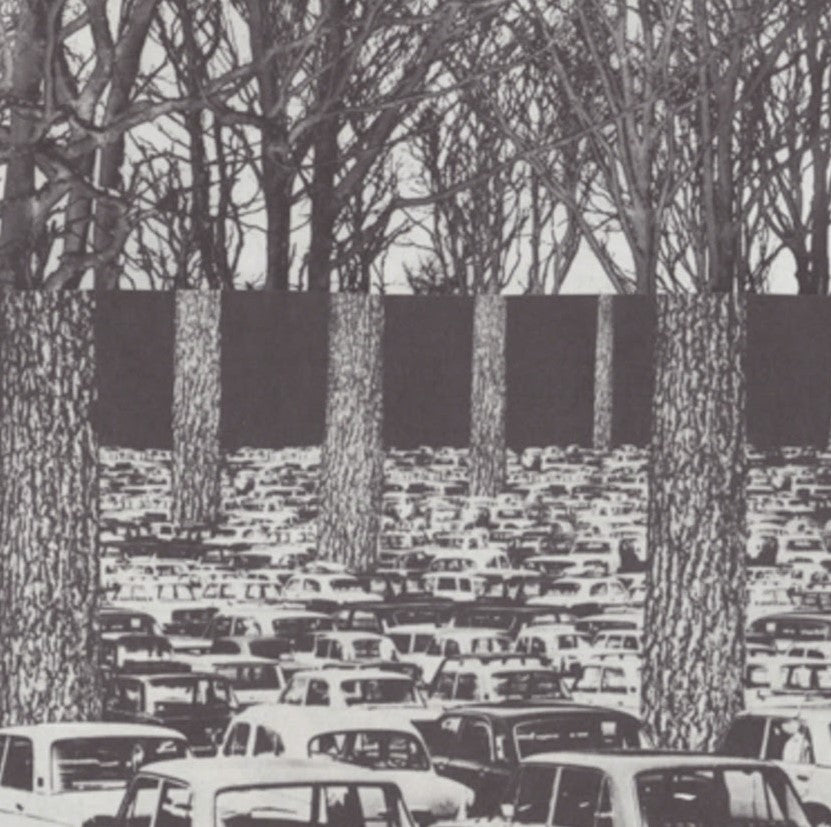 Framed Paper Prints, Sam Heydt – Naturalist Gallery of Contemporary Art