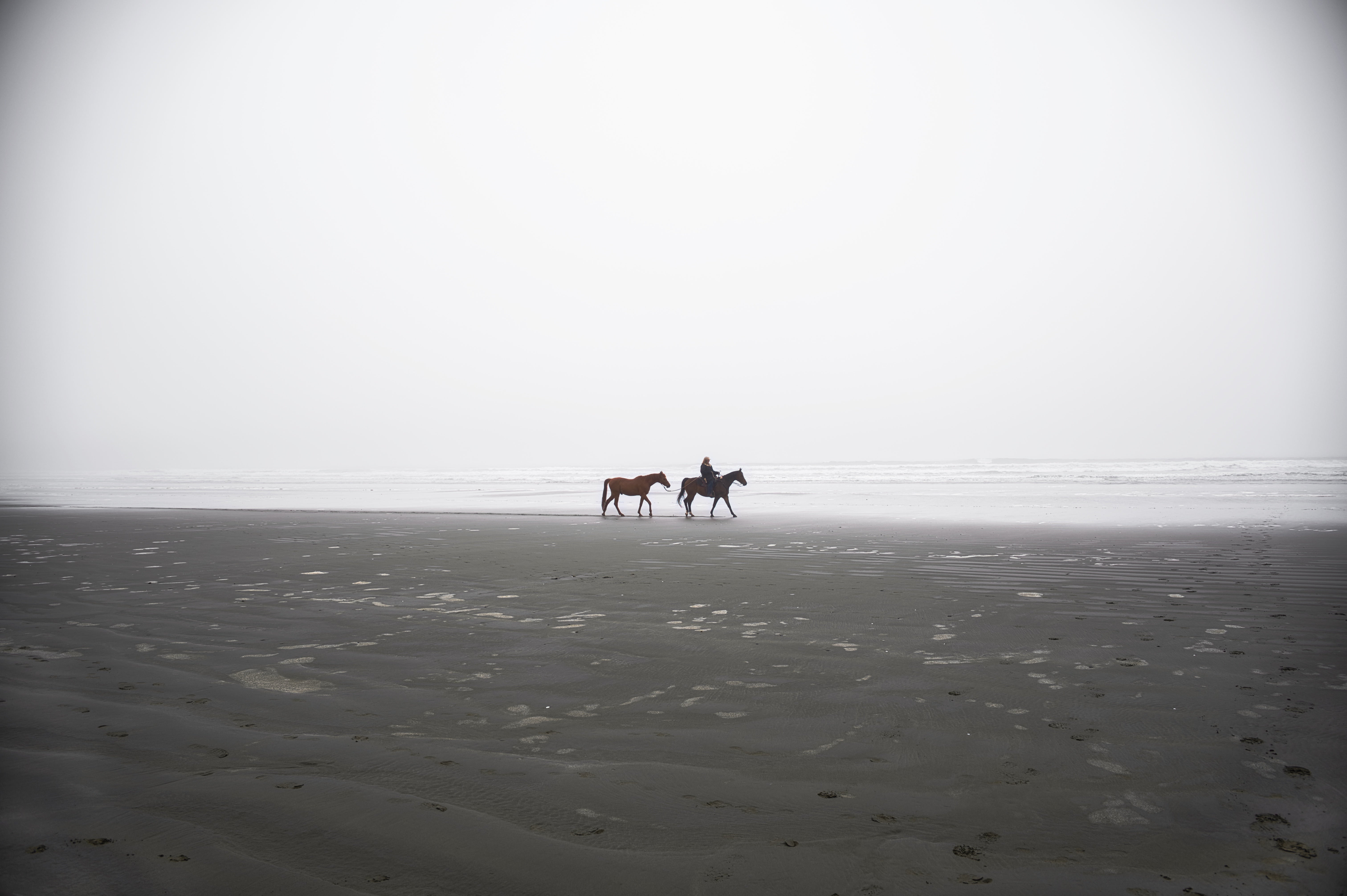 Artists – Naturalist Gallery of Contemporary Art