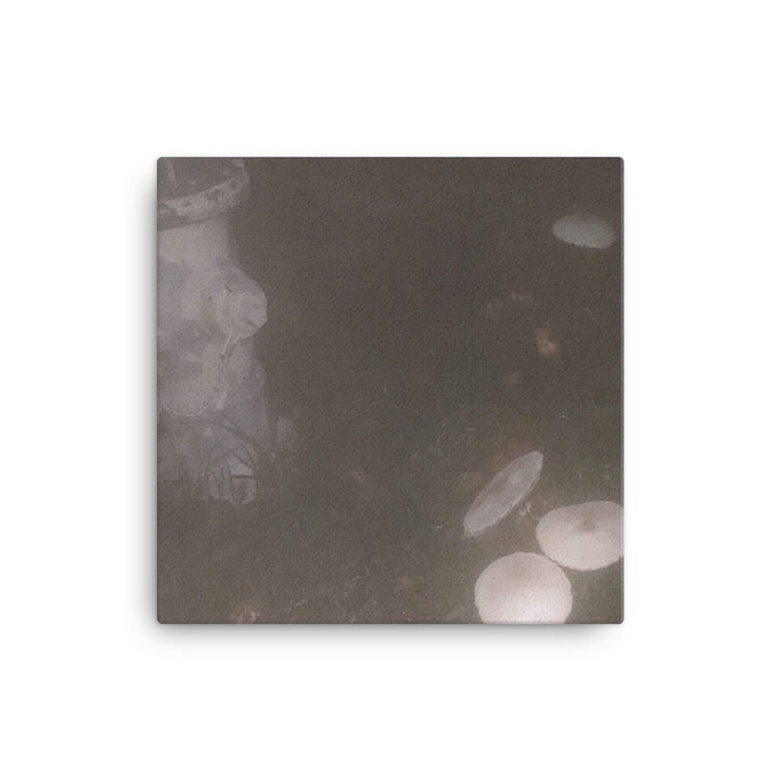 Features – Naturalist Gallery of Contemporary Art